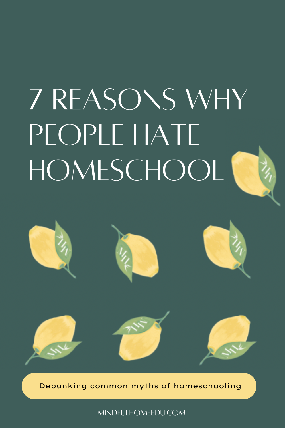 Why People Hate Homeschooling: Debunking Common Myths and Concerns ...