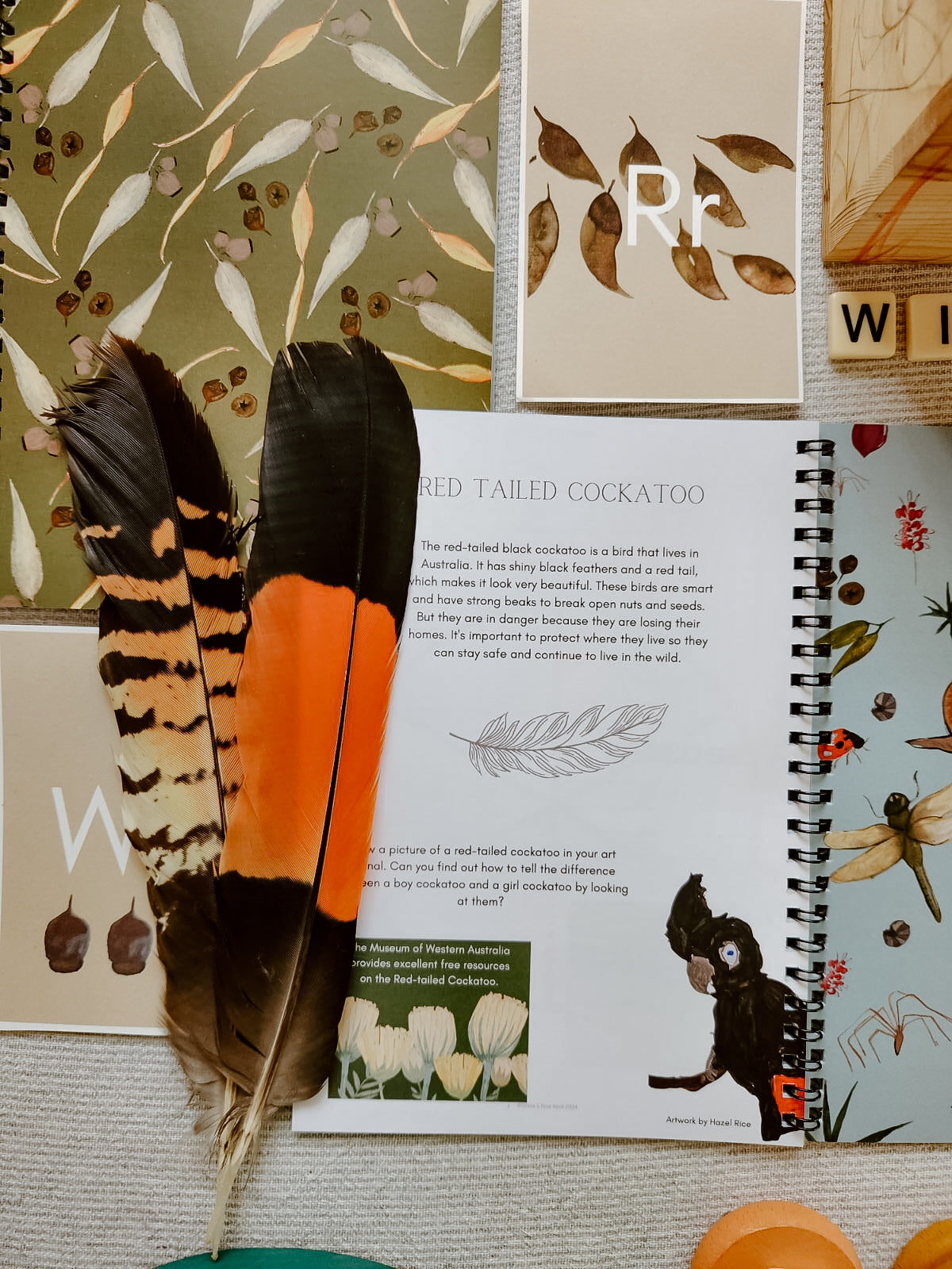 A Wet, Wattle Winter - A workbook on an Australian winter. – Mindful ...