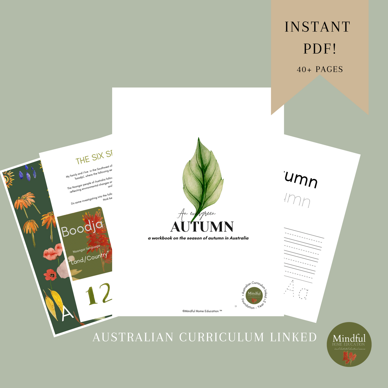 An Evergreen Autumn - Australian Curriculum Workbook (Foundation - Yea ...