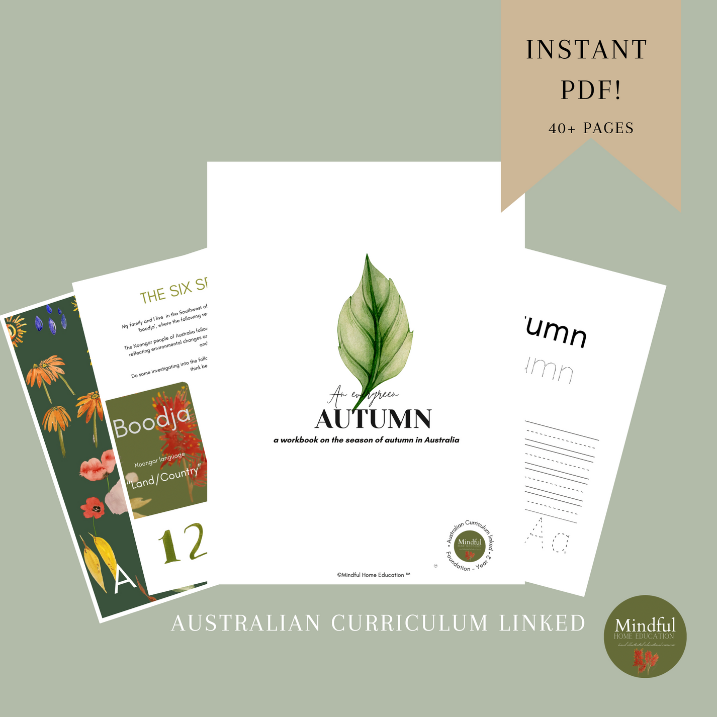 An Evergreen Autumn - Australian Curriculum Workbook (Foundation - Yea ...