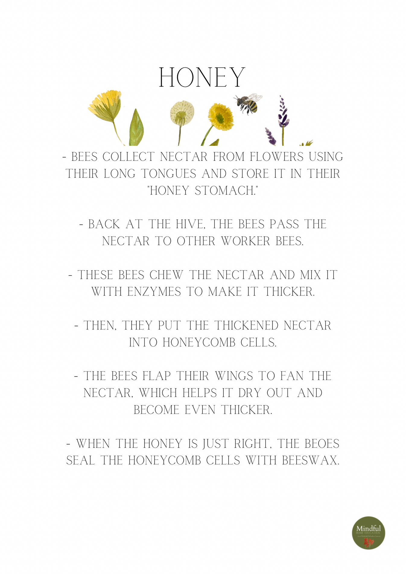 A FREE PRINTABLE - WORLD BEE DAY 2024 – Mindful Home Education
