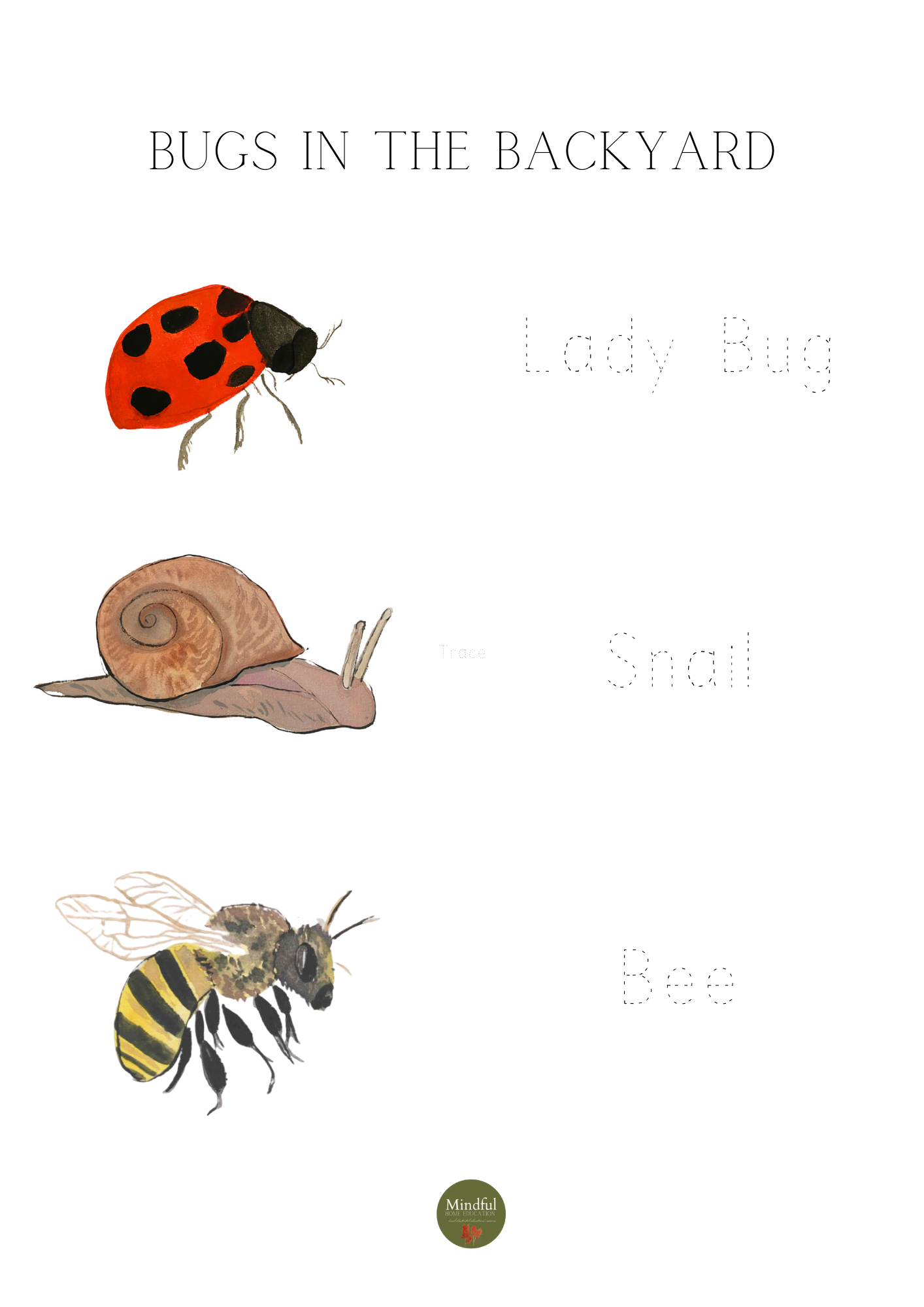 Bugs In The Backyard – Mindful Home Education